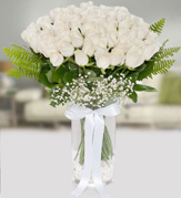 Beyaz Gül Çeşitleri, Beyaz Gül Gönder - Çiçek Sepeti