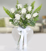 Beyaz Gül Çeşitleri, Beyaz Gül Gönder - Çiçek Sepeti